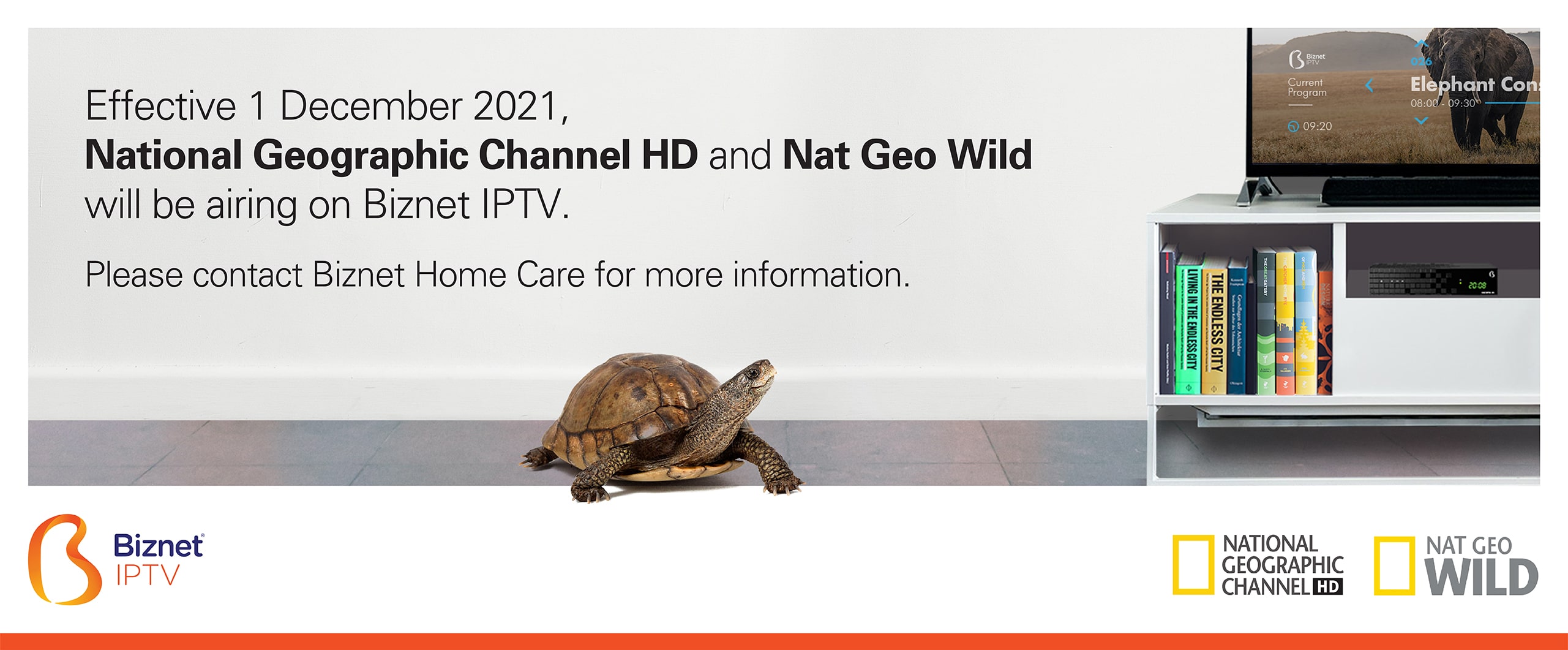 Biznet IPTV | Experience 4K for Your Real Entertainment